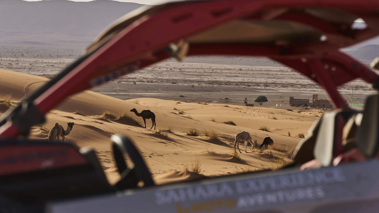 Off-Road and Adventure Tours in Morocco and South Africa | MA