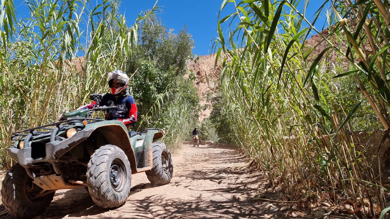 Off-Road and Adventure Tours in Morocco and South Africa | MA