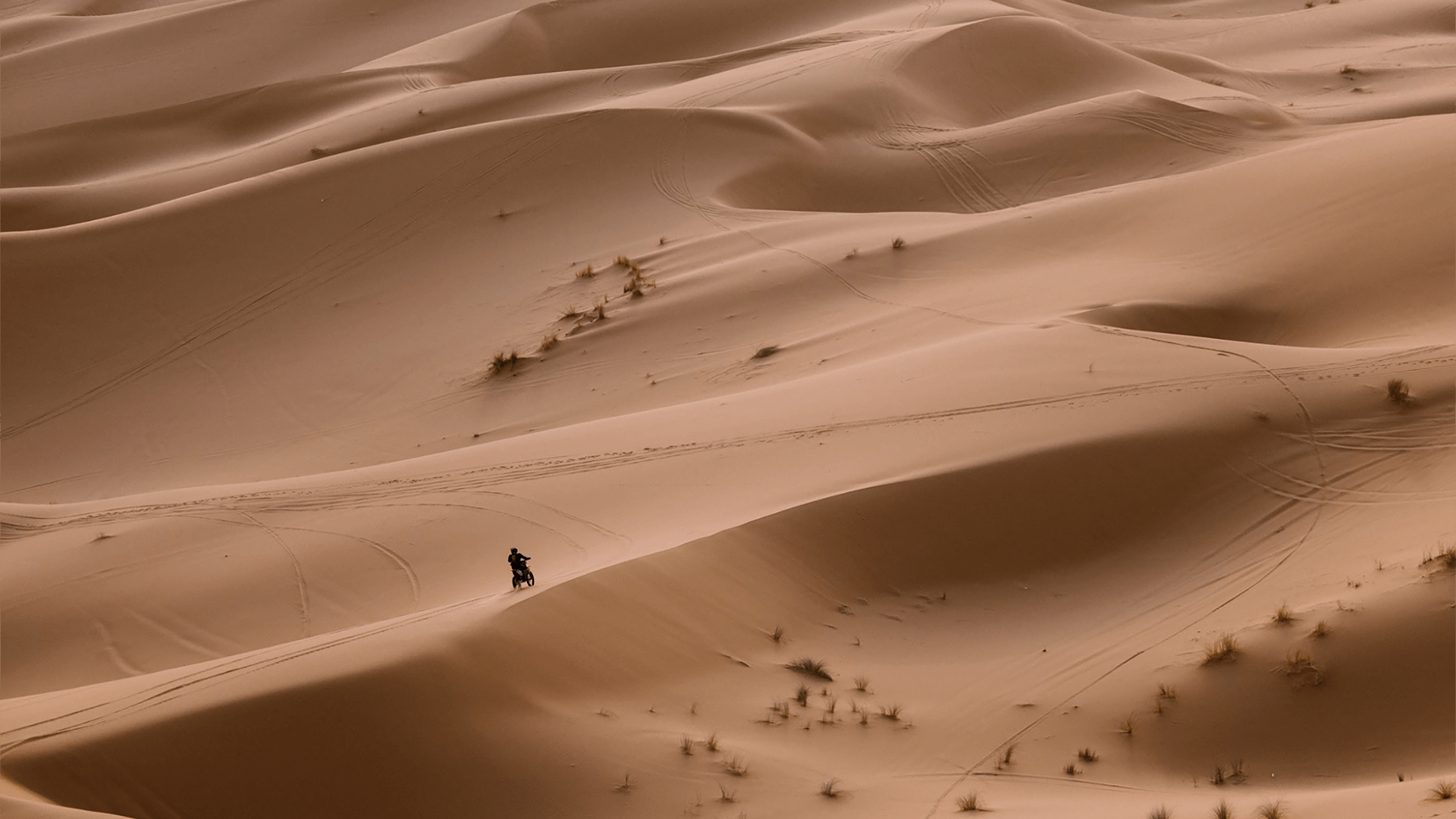 Off-Road Trip in Morocco: Classics and Hidden Treasures | Motor Adventures